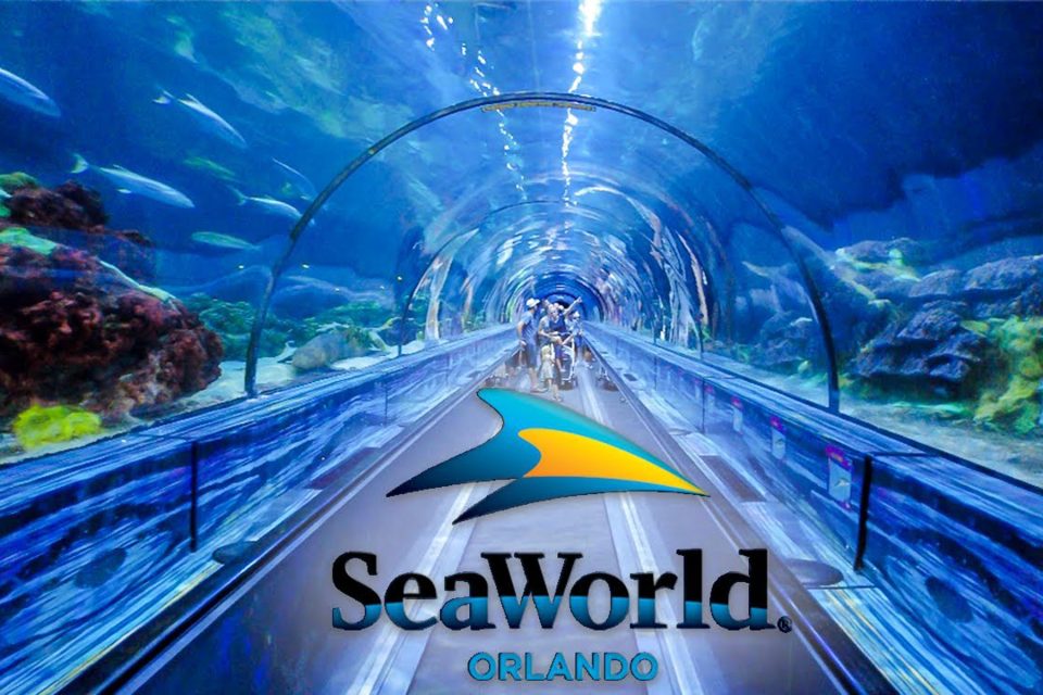 Seaworld Orlando Theme Park - Florida Theme Park Guide