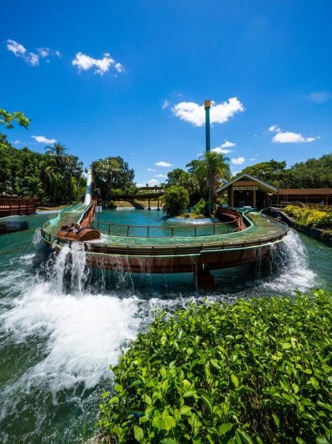 Stanley Falls Flume - Busch Gardens - Villa Giant's Ride Guide